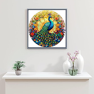 EIBEILI Diamond Painting Kits for Adults Mandala Peacock DIY 5D Diamond Art Kits for Beginners Full Drill Diamond Dots Crystal Craft Kits for Home Wall Art Bedroom Decor Gifts 11.8x11.8 inch