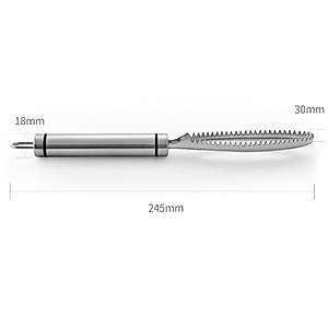 Fish Scale Removal Tool, Fish Scaler, Fish Scale Remover, Stainless Steel Fish Peeler Efficient Fish Descaler Tool Fish Scales Cleaning Brush for Chef and Home Cooks