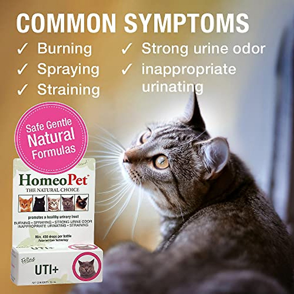 HomeoPet UTI Plus Urinary Tract Infection, Urinary Tract Support for Cats, 15 Milliliters
