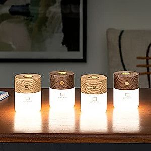 Gingko Smart Diffuser Lamp Approx. 3" x 3" x 4" Led Desk Lamp and Diffuser Walnut
