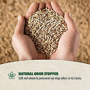 Boxiecat Eco Farm to Box Ultra Sustainable Cat Litter -Scent Free- 16.5 lb- Lightweight, Plant-based Premium Clumping Formula- All Natural Odor Control, Stays Ultra Clean