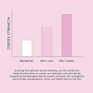 Beachwaver Good Vibes Shampoo - Coconut Milk Formula for Deep Hydration and Shine with HiX Vegan Bond Multiplers - Infused with Shea Butter to Protect, Repair, and Nourish Hair (8 Fl Oz)