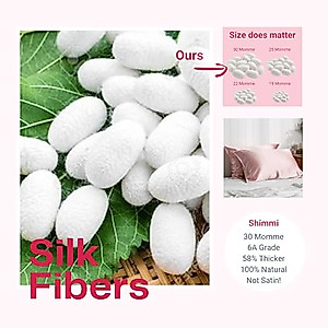 Shimmi Real Silk Pillow Cases | Luxury 30 Momme 6a Grade Mulberry Silk Pillowcase | Silk Pillowcase for Hair and Skin | Super Soft | [Standard, Blue Shimmer]