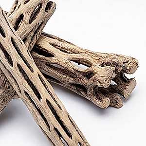SubstrateSource Natural Cholla Wood Logs - Driftwood for Aquariums, Fish Tanks, Shrimp, Hermit Crabs, Reptiles - 4 and 6 Inch Pieces (4 Inch (3 Pack))