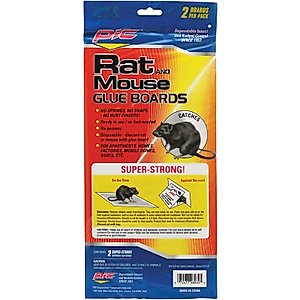 PIC-Corp Glue Rat Boards, 2/Pack (PCOGRT2F)