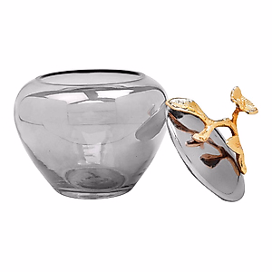 Decozen Qtip Holder and Cotton Jar with Lid - Elegant Glass and Metal Organizer for Decorative Kitchen Home Decor Bath Accessories Countertop Bedroom Glass Jar Lid Organizer - The Milli Collection