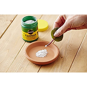 Miracle-Gro FastRoot1 Dry Powder Rooting Hormone: Houseplant and Succulent Propagation, for Rooting House, Foliage, Tropical, and Hardy Ornamental Plants, 1.25 oz