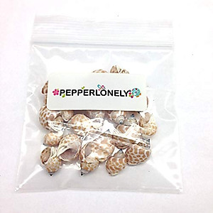 PEPPERLONELY 20PC Small Babylonia Spirata Hermit Crab Sea Shells, 1/2 Inch ~ 1 Inch