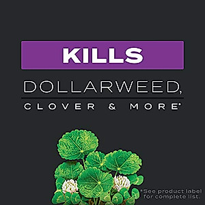 Scotts Turf Builder Southern Triple Action - Combination Weed Killer, Fire Ant Preventer, and Fertilizer, 26.64 lbs., 8,000 sq. ft.