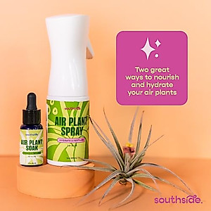 Air Plant Fertilizing Spray by Southside Plants - Fertilizer Mist for Houseplants, Weekly Plant Food - Gentle Mist Formula for Miracle Feed & Grow - 7.3 oz
