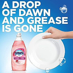 Dawn Ultra Gentle Clean Dishwashing Liquid Dish Soap, Pomegranate & Rose Water Scent, 24 fl oz