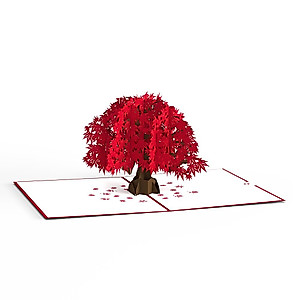 Lovepop Everyday Pop-Up Card for Her and Him- 3D Thinking of You Greeting Cards for Boys, Girls, Men, Women - 5" x 7" Maple Tree - Blank Note Card & Envelope Included