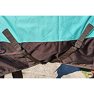HILASON 1200D Turnout Light Winter Waterproof Rain Sheet Horse Sheet | Horse Sheet | Horse Turnout Sheet | Horse Sheets for Winter | Waterproof Turnout Sheets for Horses