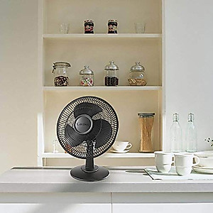 Lasko 12" 3 Speed Portable Oscillating Small Floor or Table Fan, Black (2 Pack)