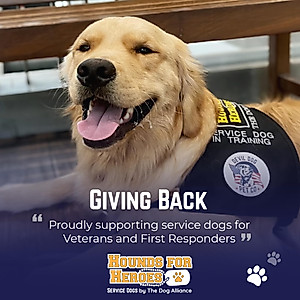 Devil Dog Pet Co. Himalayan Yak Chews, Yak Cheese Dog Chews, 100% Natural & Healthy, Lactose Free, Long Lasting, Yak Chew Treats – Premium Yak Milk Dog Chew, Yak Bones for Dogs | Beast - 3 Pack