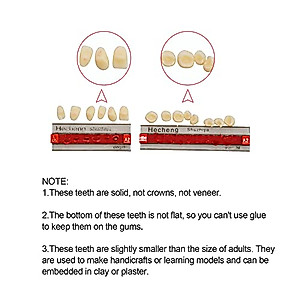 Angzhili 84 Pcs Dental Complete Acrylic Resin Denture False Teeth 3 Sets Synthetic Polymer Resin Denture Teeth 23 Shade A2 Upper + Lower Dental Materials