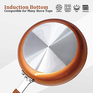 SHINEURI Mini 6 1/2" Inch Nonstick Copper Pan Nonstick Pan Copper Fry Pan Copper Nonstick Pan Copper Ceramic Pan Mini Nonstick Omelet Pan Copper Frying Pan Mini Pan Extra Small Pan for 1 Person Meal