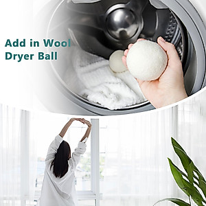 Clean Air Fragrance Oil - ESSLUX Aromatherapy Essential Scented Oils for Diffuser, Massage, Soap, Candle Making Scents, Perfume, Home Fragrance, 30 ml