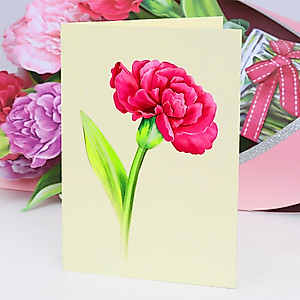 Airpark Pop Up Flower Cards, Beloved Carnation, 12inch Forever Flower Bouquet 3D Popup Greeting Cards with Note Card & Envelope for Birthday, Thank You Cards for Her Lover Friends