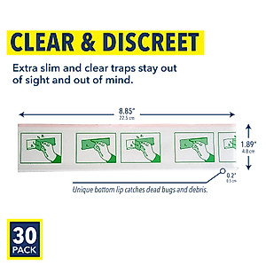 B&G Clear Window Fly Traps (30-Pack), Clear Fruit Fly Sticky Traps, Gnat Flypaper, Non-Toxic Glue, Odorless House Fly Strips, Durable Sticky Fly Traps for Indoors, Fly Paper Indoor for Home