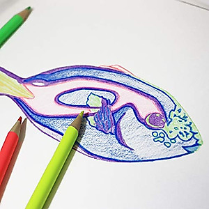 Sargent Art Neon & Metallic Collored Set pencils, Assorted