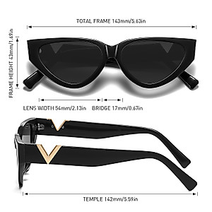 Cat Eye Sunglasses for Women Men Trendy Cateye Women's Vintage Classic Retro Sun Glasses(Black/Grey)