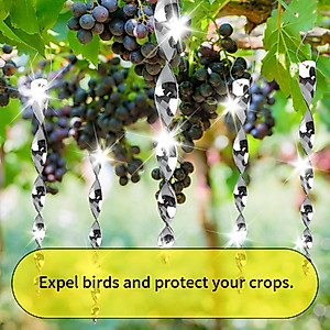 KOKMEYA Bird Scare Rods Silver Hanging Plastic Bird Deterrent Device, Wind Driven Rotation Reflective Scare Rods to Keep Birds Away from House Windows Outdoor Garden Yard 6Pcs