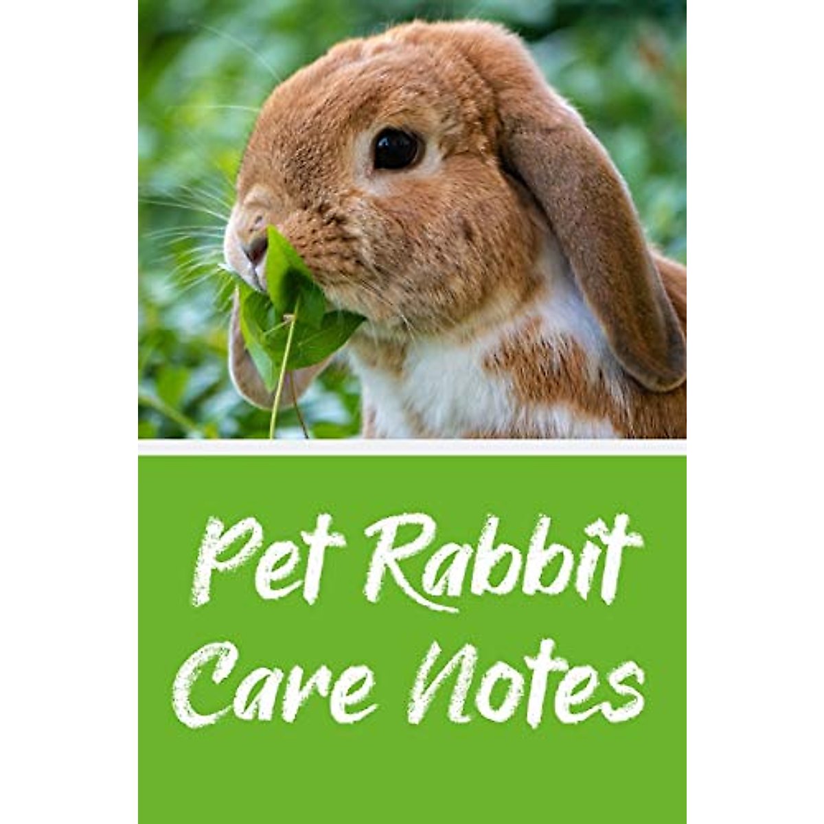 Pet Rabbit Care Notes: Specially Designed Fun Kid-Friendly Daily Rabbit Log Book to Look After All Your Small Pet's Needs. Great For Recording ... & Rabbit Activities with Personal Name Page.