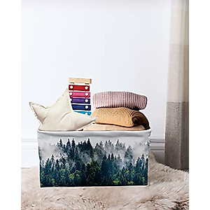 Green Forest Storage Basket for Shelves, Spring Summer Botanical Natural Scenery Storage Cube Fabric Storage Bins, Closet Organizers with Handles for Book, Toys, Cloth, 15"x11"x9.5", 1 Pack