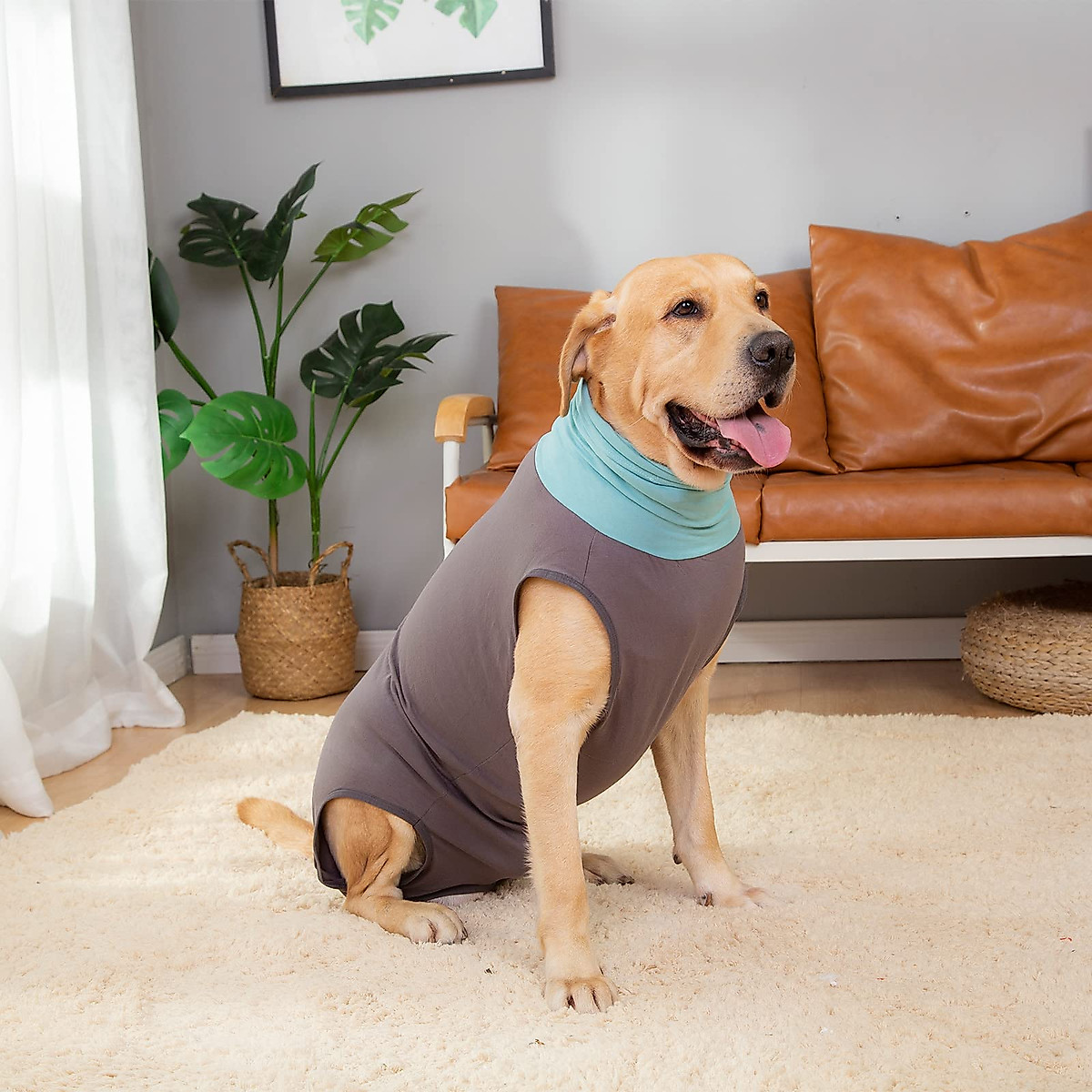 Musraya Dog Surgery Recovery Suit, Onesies for Dogs After Surgery, Dog Spay Recovery Suit Female, Breathable Neutering Recovery Suit for Male Dogs, Puppy Onesies Dog Surgical Suit (Darkgrey,S)