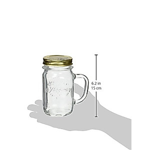 Rocco Bormioli 4 Stagioni Clear Glass Jar with Handle and Lid, 47 x 25 x 15 cm [Italian Language Design]