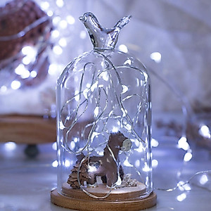 Brightown 12 Pack Led Fairy Lights Battery Operated String Lights Waterproof Silver Wire 7 Feet 20 Led Firefly Starry Moon Lights for DIY Wedding Party Bedroom Patio Christmas (12 Pack, White)