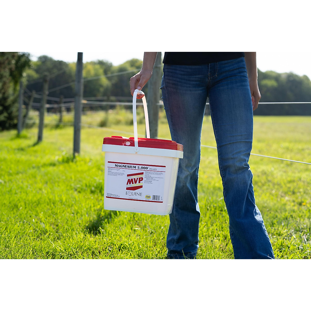 Magnesium 5000 (10lb) Calming/Metabolism/Muscle Function Support for Horses.