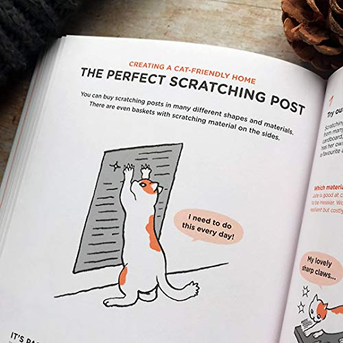 What Cats Want: An illustrated guide for truly understanding your cat