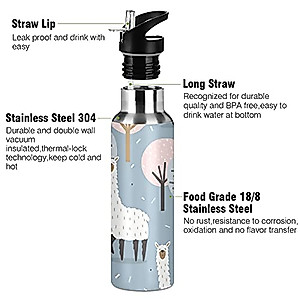 xigua Alpaca Water Bottle Stainless Steel Vacuum Insulated Water Bottle Standard Mouth Wide Handle Bottle with Straw Lid for Sports School Gym Outdoor,20 oz.