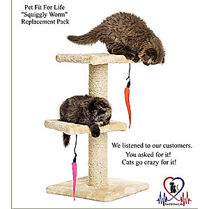 Pet Fit For Life 5 Piece Replacement Pack of Worms for Interactive Cat and Kitten Toy Wands