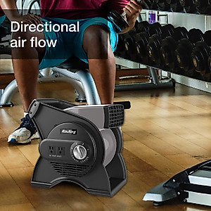 Air King Commercial Grade Pivoting Utility Fan, for Cooling, Ventilating, Exhausting and Drying at Home, Job Site, Work Shop, Construction, 3 Speeds, 11.25", Black, 9550