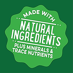 Greenies Feline Pill Pockets for Cats Natural Soft Cat Treats, Catnip Flavor, 1.6 oz. Pack (45 Treats)