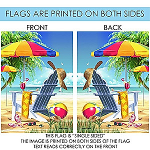 Toland Home Garden 1010402 Fun in the Sun summer Flag 28x40 Inch Double Sided summer Garden Flag for Outdoor House Beach Flag Yard Decoration