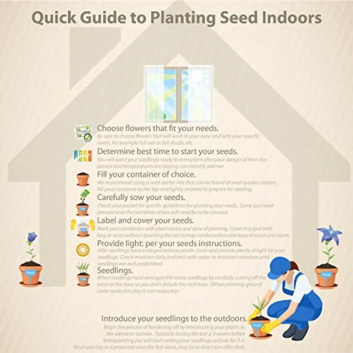 Outsidepride Perennial Levisticum Lovage Culinary Herb Garden Plants Used for Flavoring & Salt Substitute - 1000 Seeds