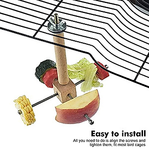 Xnuoyo Bird Food Holder, Parrots Foraging Toys for Birdcage, Rotating Stainless Steel Bird Treat Feeders, Parrot Fruit Vegetable Holder for Parakeets Parrotlets Lovebirds Cockatiels