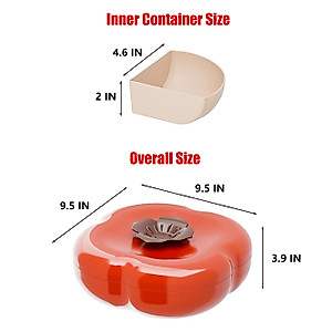 Taiuloo Divided Serving Tray with Lid, 4 Compartment Removable Snack Platter Container, BPA-Free Storage Box for Appetizer, Snackle, Candy, Fruit, Nut, Veggie, Parties Entertaining Dishwasher Safe
