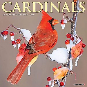 Cardinals 2021 Wall Calendar