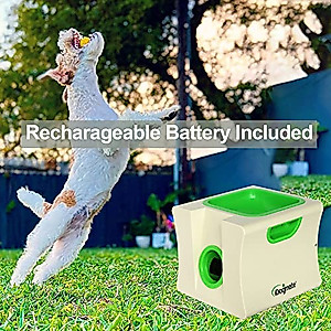 IDOGMATE Ball Launcher for Dogs, Automatic Dog Ball Thrower for Mini Dog with Rechargeable (Small Ball Thrower for Dogs with 3 Balls)