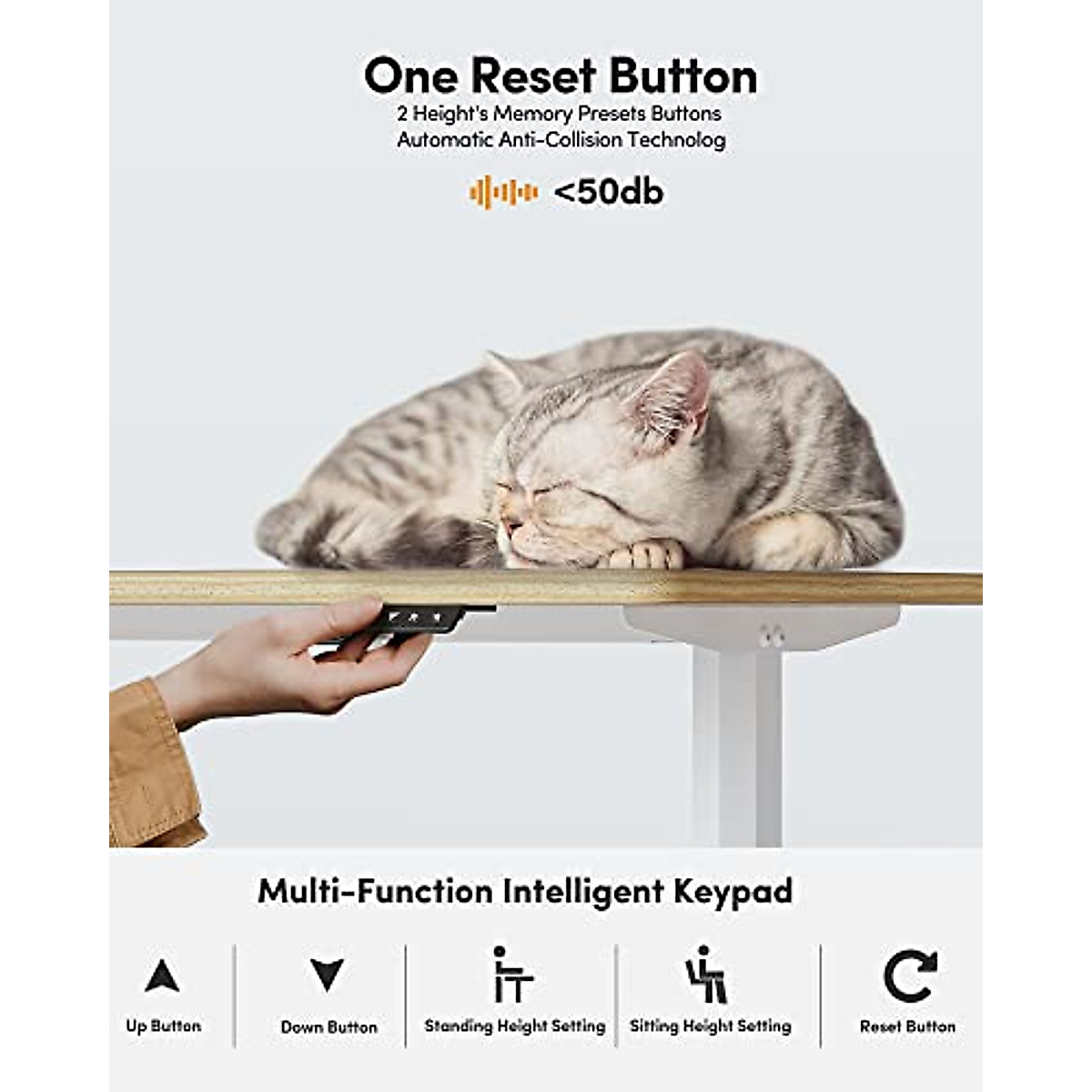 BANTI 55"x24" Standing Desk, Electric Stand up Height Adjustable Home Office Table, Sit Stand Desk, Light Rustic Brown Top