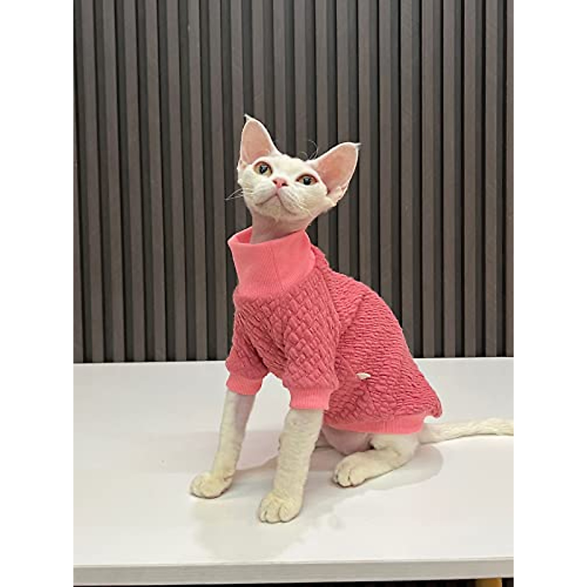Sphynx Hairless Cat Clothes Autumn Solid Color Turtleneck Sweater Soft Warm Elasticity Pullover Cat Apparel Pet Clothes (M(4.4-5.5lbs), Rose red)