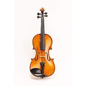 D Z Strad Viola Model 600 Size 15.5" with Case and Bow (15.5“ - Size)