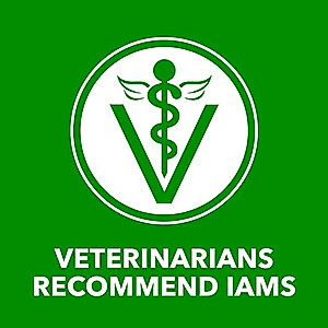 Iams Proactive Health Wet Dog Food, Lamb Chunks in Gravy, 13 oz., Pack of 12