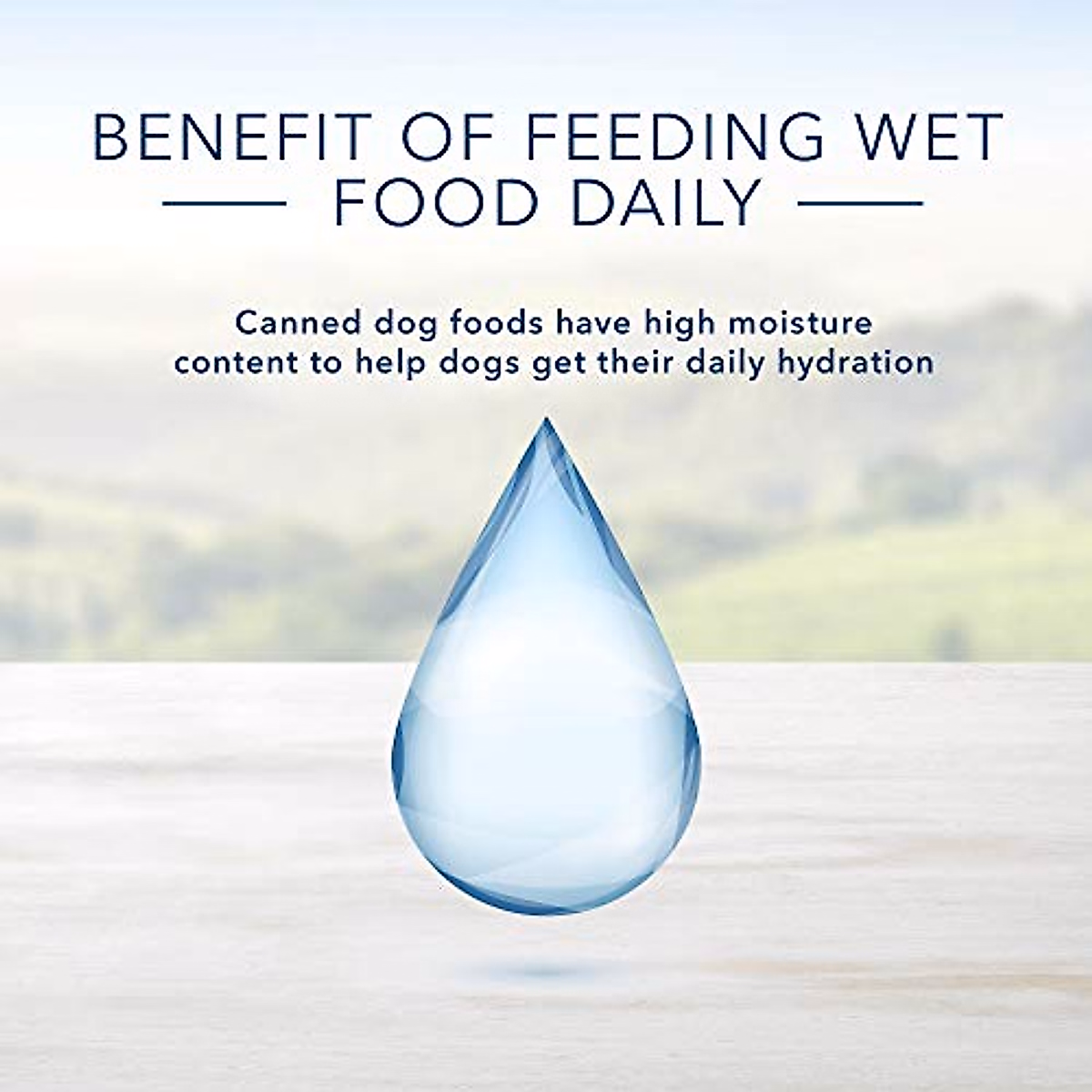 Blue Buffalo Blue's Stew Natural Adult Wet Dog Food, Chicken Stew 12.5-oz can (Pack of 12)