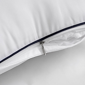 MIULEE 18x18 Pillow Inserts Set of 2 Throw Pillows 18 Inch Premium Down Alternative Pillow Inserts Decorative Pillow Stuffer for Sofa, Couch (18x18 inch, Set of 2)